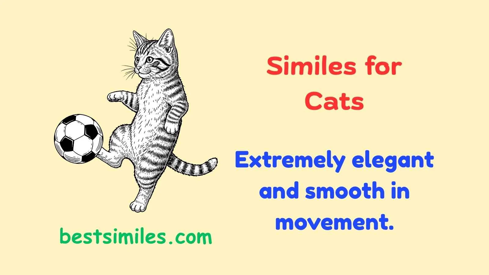 30+ Similes for Cats (Cute and Clever Lines for Cat Lovers ...