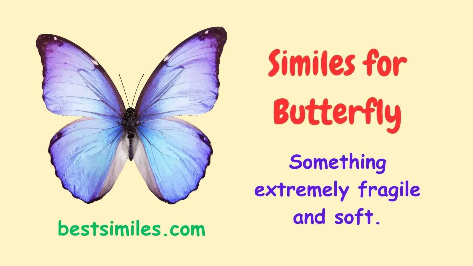 30+ Similes for Butterfly Magical Comparisons to Use 2026 - bestsimiles.com